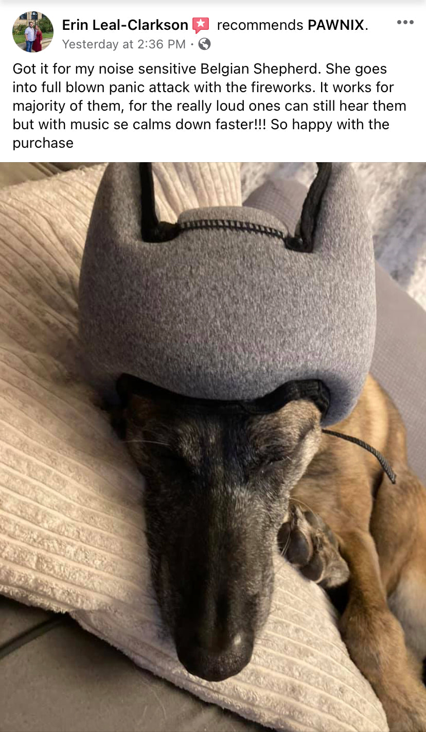 Options for Dog Ear Protection - Pawnix Noise-Cancelling Headphones